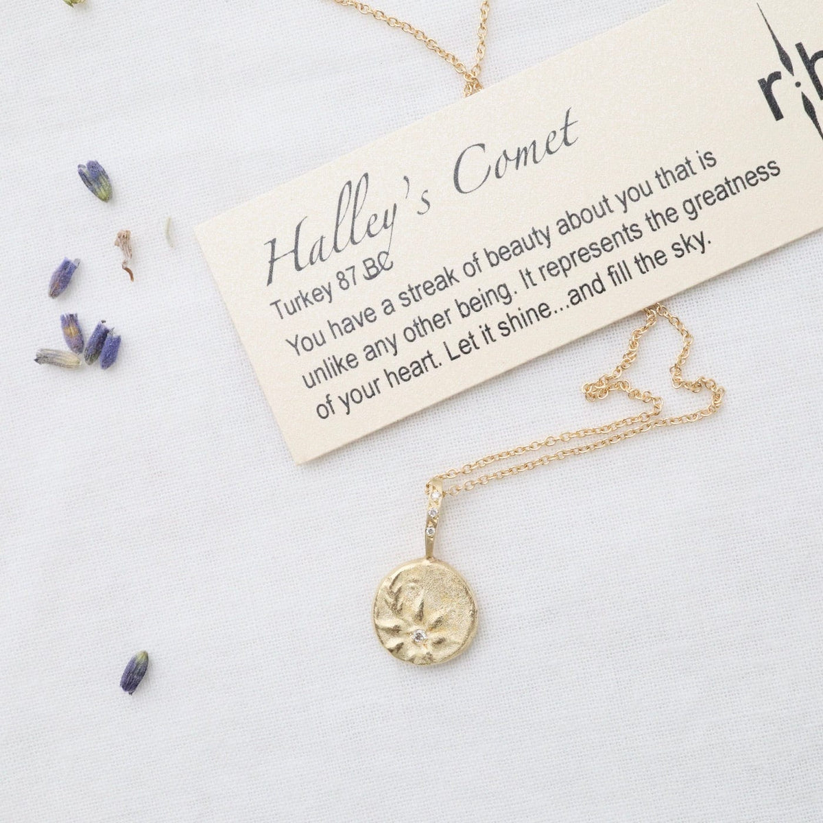 Halley’s Comet 14k Gold Necklace – Dandelion Jewelry
